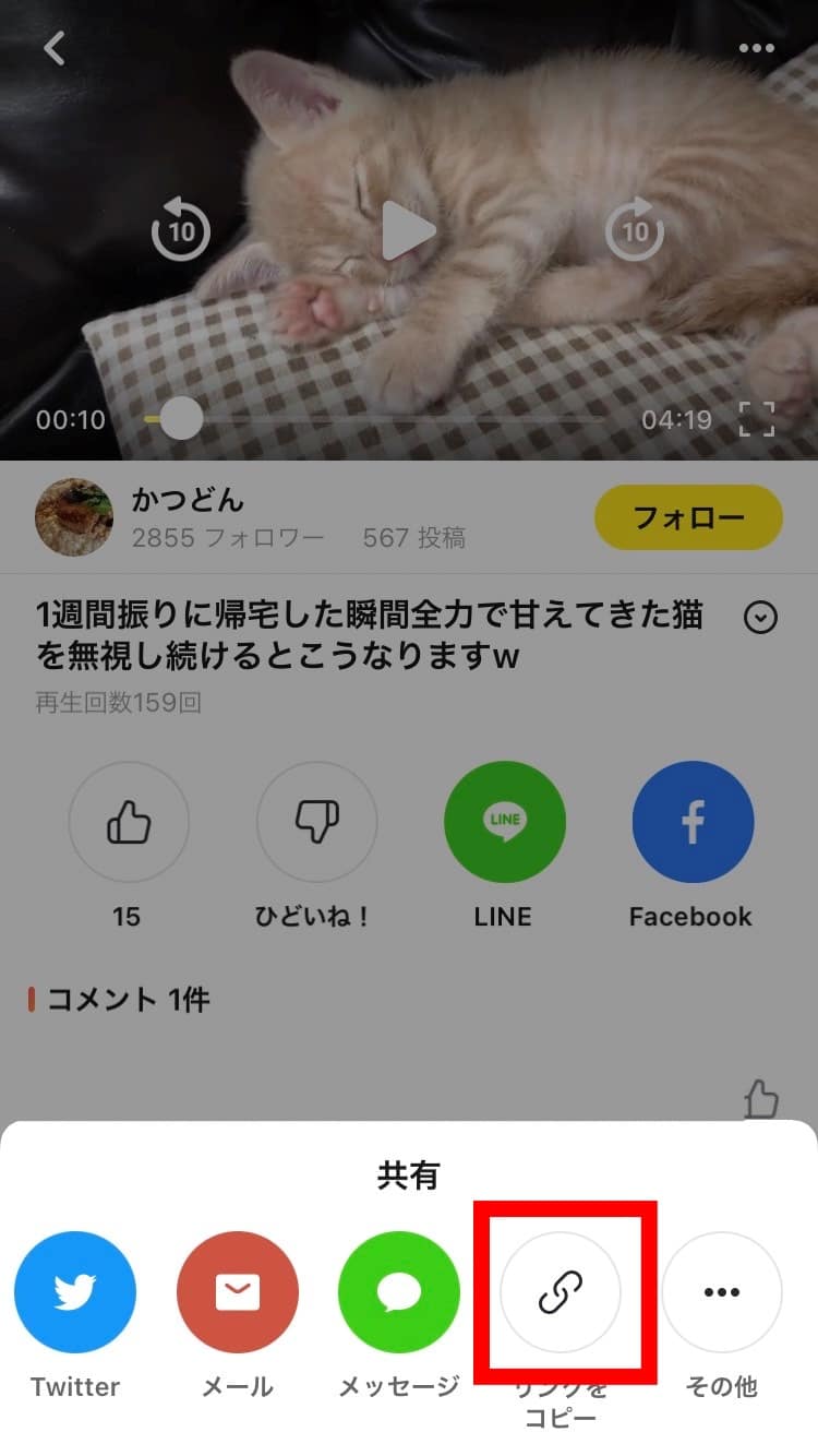 BuzzVideo(バズビデオ)の動画無料ダウンロード方法を解説！